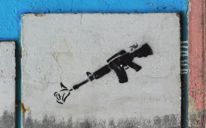 PEACE > War on Drugs: Tell Congress to fully support the implementation ...